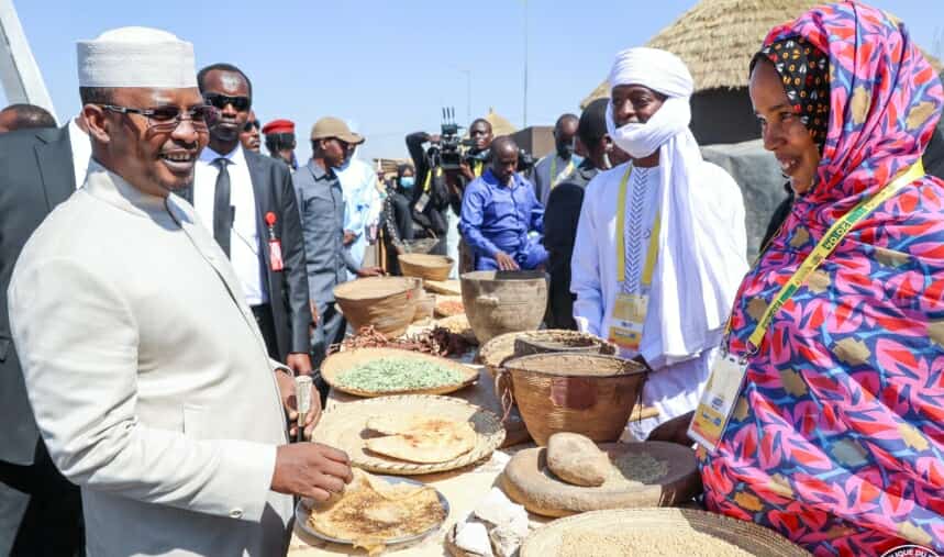 Chad / Madaniyat: Davlat rahbari 7-nashrdagi Dary festivalini ochdi ...