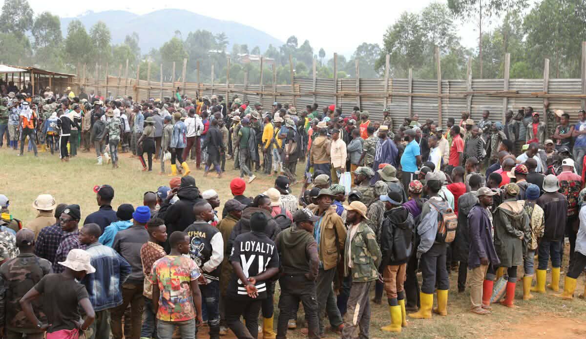 RDK: Aktar minn 1200 tifel u tifla se jitneħħew minn gruppi armati mill-PDDRC-S f'Ituri sal-2025 ...